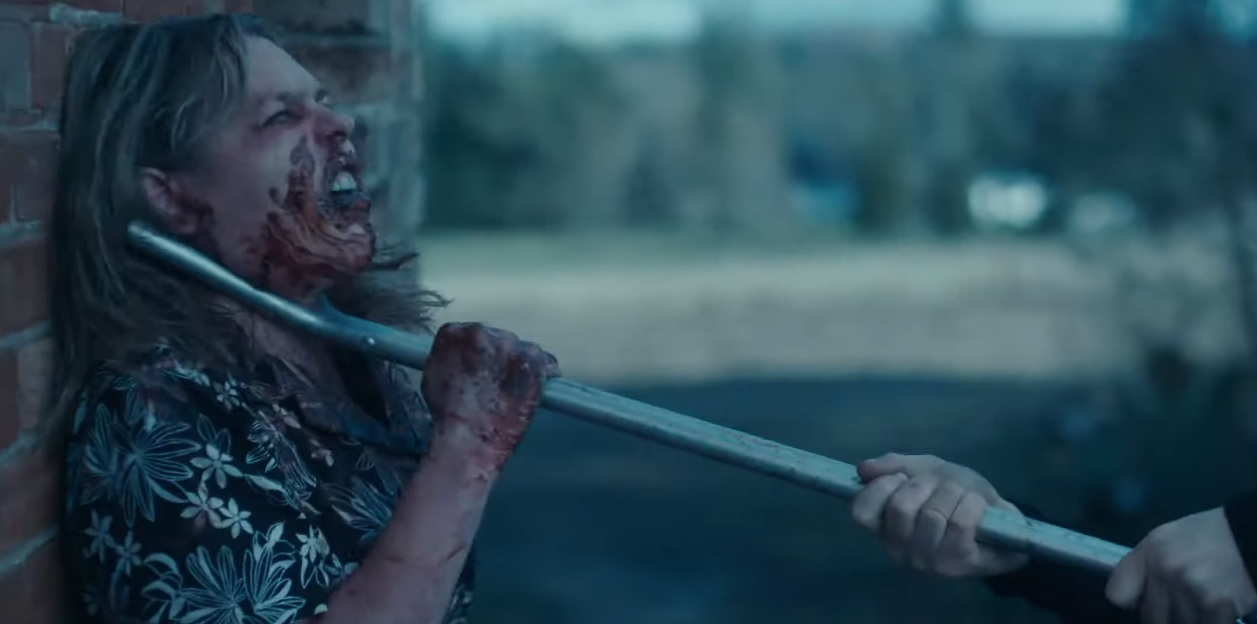 Sighting the “Dead”: An Interview with Liv Collins – WorldFilmGeek