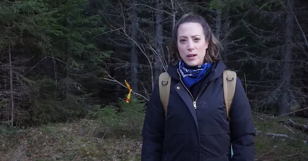 Reportage November (Sweden, 2022) – WorldFilmGeek