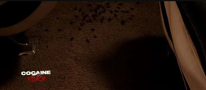 Cocaine Roach (USA, 2024) – WorldFilmGeek