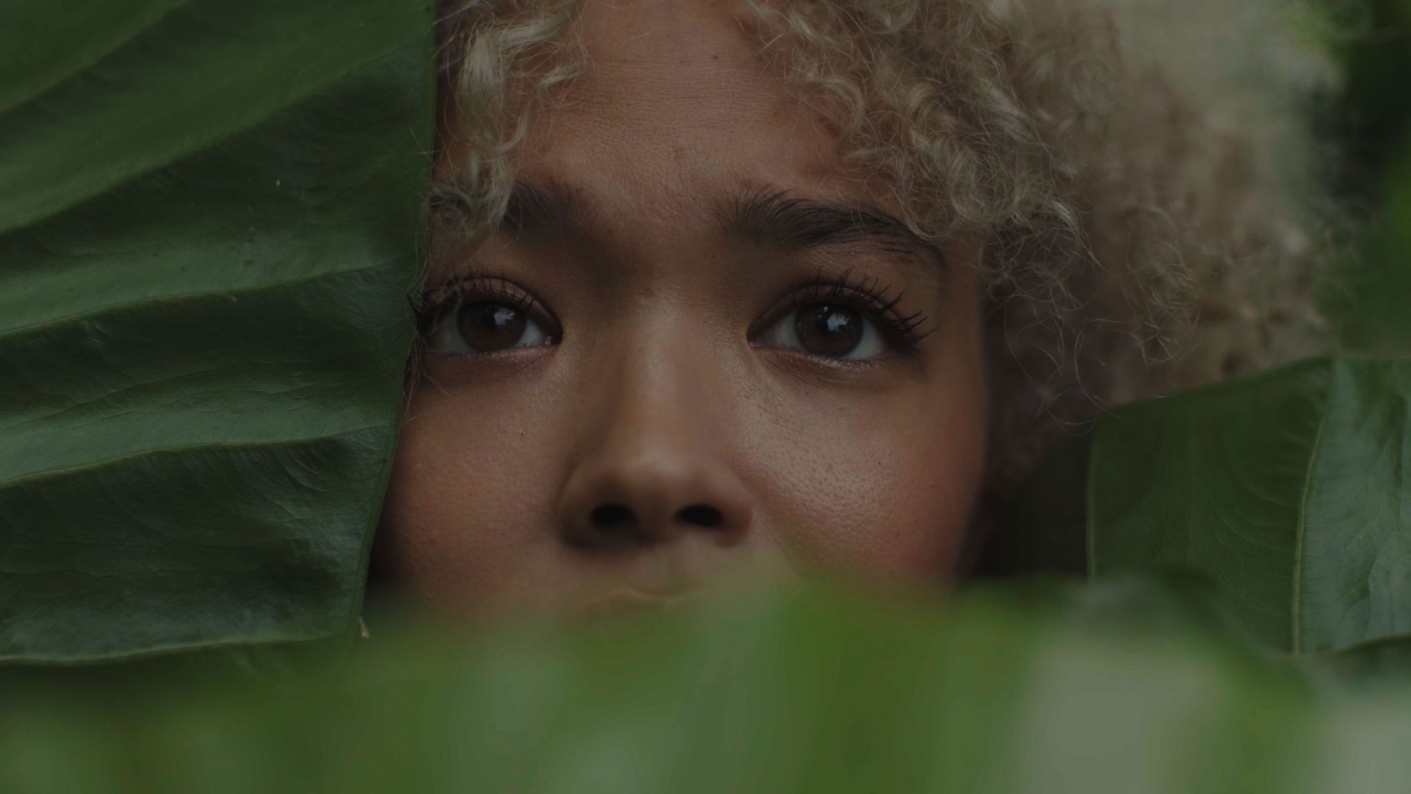 The Forest (BOS) (South Africa, 2025) – WorldFilmGeek